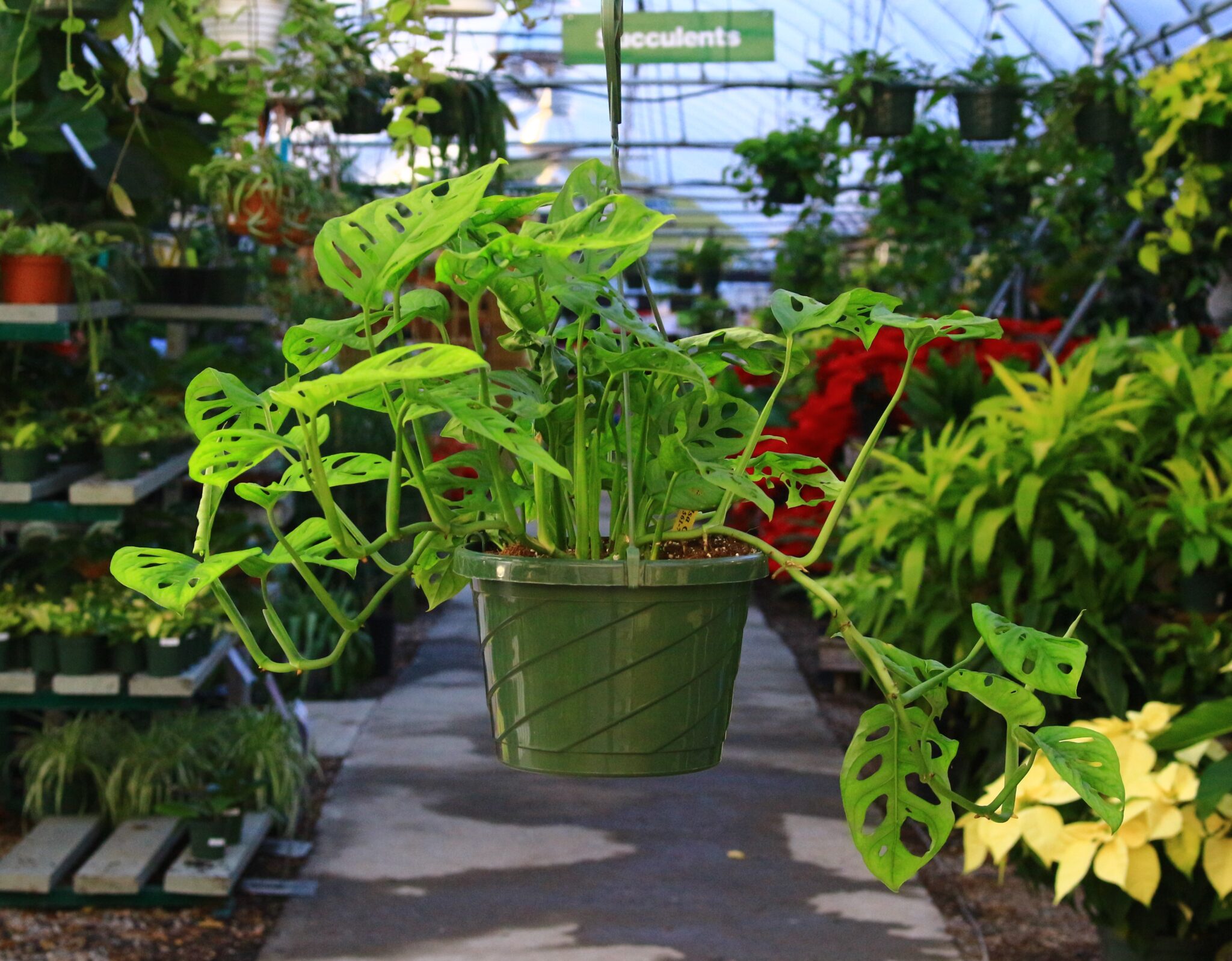 Cross Creek Nursery & Landscaping