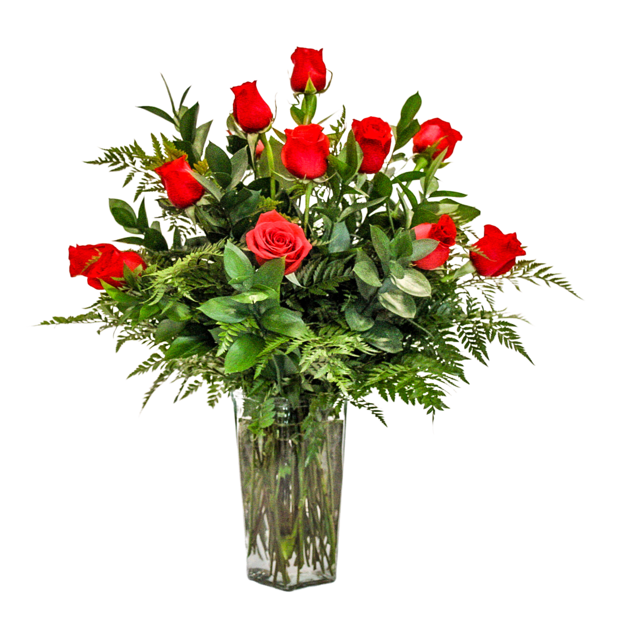 One Dozen Red Roses • Cross Creek Nursery and Landscape